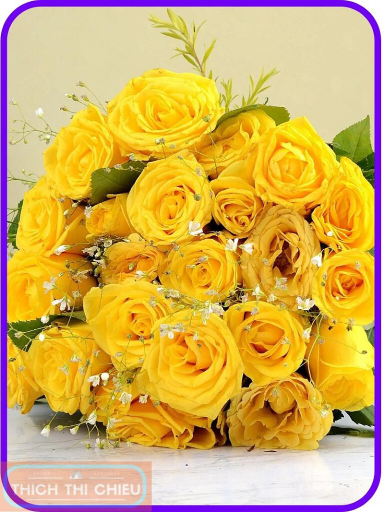 10 Most Beautiful Yellow Roses to Brighten Your Day - Thich Thi Chieu